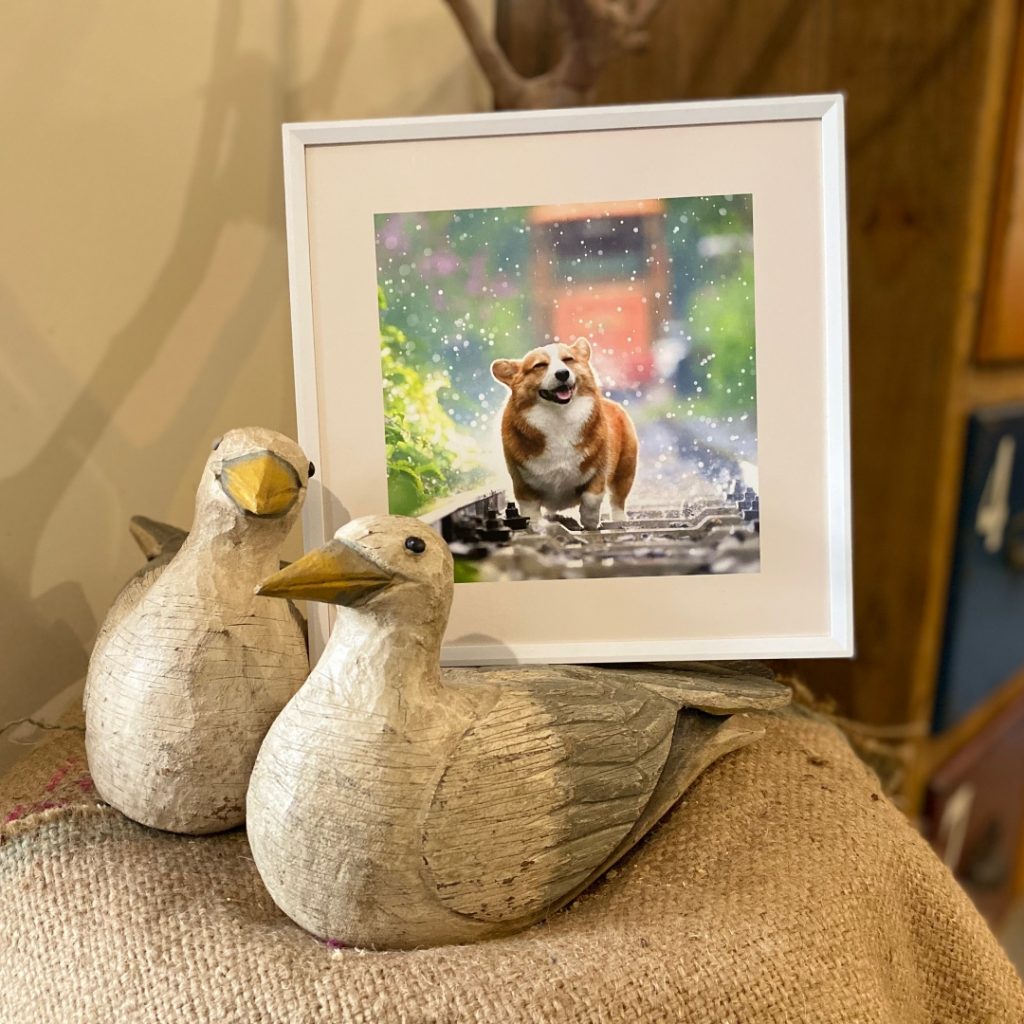 nuPhoto使用教學 – nuPhoto拍立洗